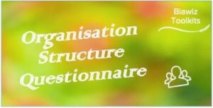 Organisation Structure Questionnaire - BiaBiz